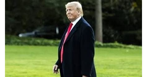 Тръмп платил над 100 бона на порнозвезда