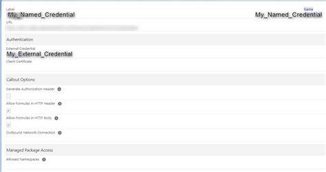 apex named credential not accessible by non system admin profiles