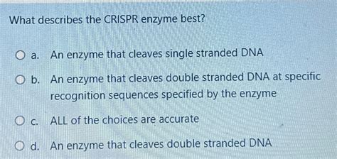 Solved What Describes The Crispr Enzyme Besta ﻿an Enzyme