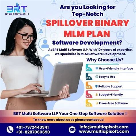 Spill Over Binary MLM Plan Software Development Services At Rs 59999 In Greater Noida