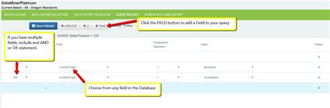 Building Dataminer Platinum Dmp Reports 4 Query Builder Donorsnap Support