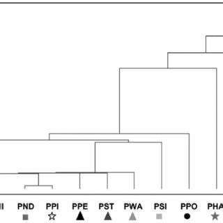 Dendrogram Based On The Nearest Neighbour Method Squared Euclidean