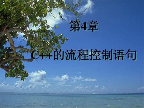 第四章 C 的流程控制语句 word文档在线阅读与下载 无忧文档