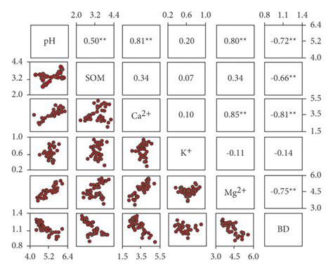Correlation Plots Of The Soil Physicochemical Characteristics In The Download Scientific