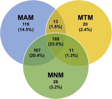 Distributions Of Myopic Atrophy Maculopathy Mam Myopic Tractional Download Scientific