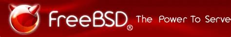 More Fun With Freebsd Installed Dwm Tiling Window Manager