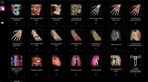 Android Apps To Learn Human Anatomy MashTips