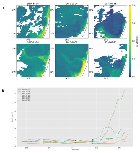 Surface Chlorophyll Concentrations In The Southeastern Mediterranean