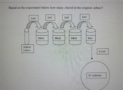 Solved Based On The Experiment Below How Many Cfu Ml In The Chegg Com