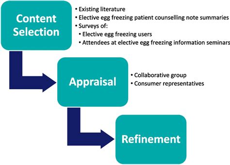 Decision Aid Development Process Download Scientific Diagram