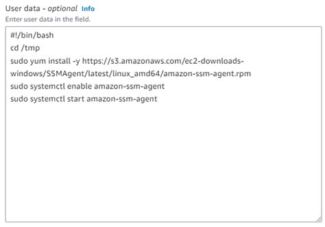 How To Use Aws Session Manager To Access Ec2 Without Ssh