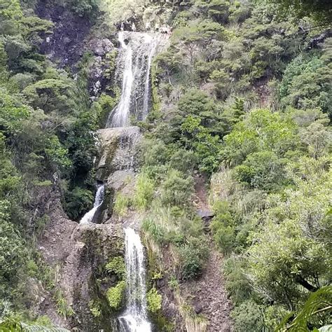Visit Hamiltons Gap Bookmes Travel Guide For Hamiltons Gap New Zealand