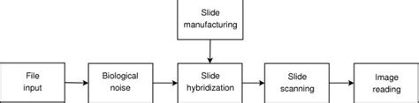Microarray Simulation Model Block Diagram Of The Microarray Simulation Download Scientific