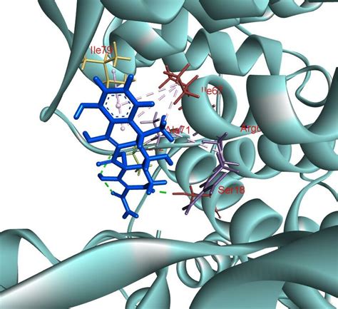 9 3d Representation Of Doxycycline In Active Site Of 4qpj Download Scientific Diagram