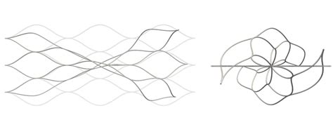 Planar Net Plane Views Of The Deformed Shape At Different Time