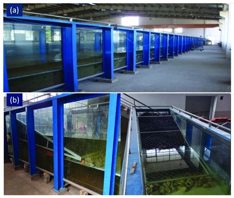 The Wave Flume House A And Absorber At The Lee Side Of Wave Flume B Download Scientific