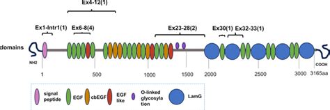 Next Generation Sequencing Plos One
