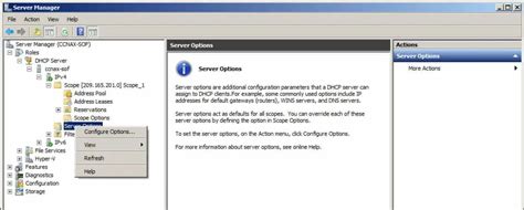 How To Configure Additional Dhcp Server Options Interface Technical