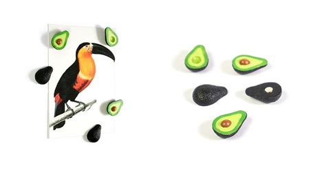 Magnet Avocado - lustige Magnete von Geschenke List