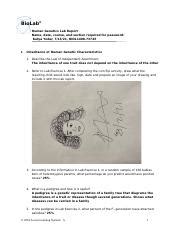 Human Genetics LR KY Doc BioLab Human Genetics Lab Report Name Date Course And Section