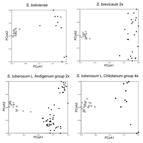 Principal Coordinate Analysis Showing Clustering Of Individuals In Download Scientific