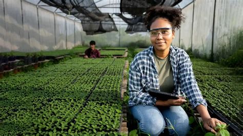 Agriculture Jobs Live Update Explore From 55 Agriculture Jobs