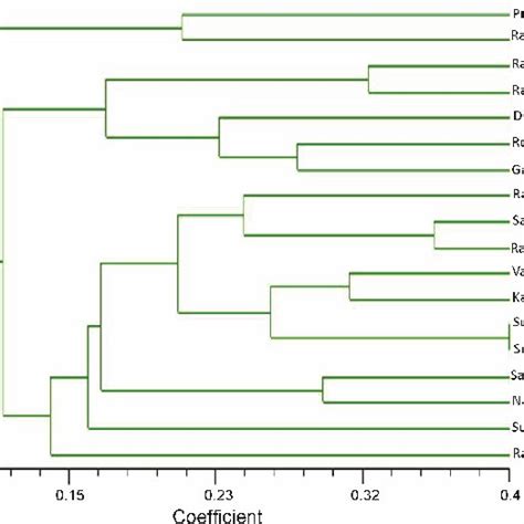 Upgma Cluster Analysis Showing The Diversity And Relationship Among 18
