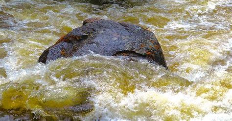 Spring Melt On The Roaring Fork River Album On Imgur