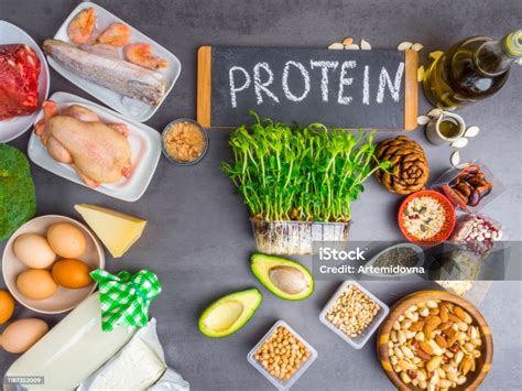 고단백 식품 고기 생선 가금류 견과류 유제품 계란 마이크로 그린 콩 아보카도 기름 귀리 씨앗 제품 구프 건강한 모발 고기에 대한 스톡 사진 및 기타 이미지 Istock