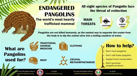 Save The Pangolins Friend Of The Earth