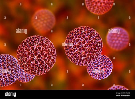 Rotavirus Particle Computer Illustration This Virus Particle Consists Of An Rna Ribonucleic