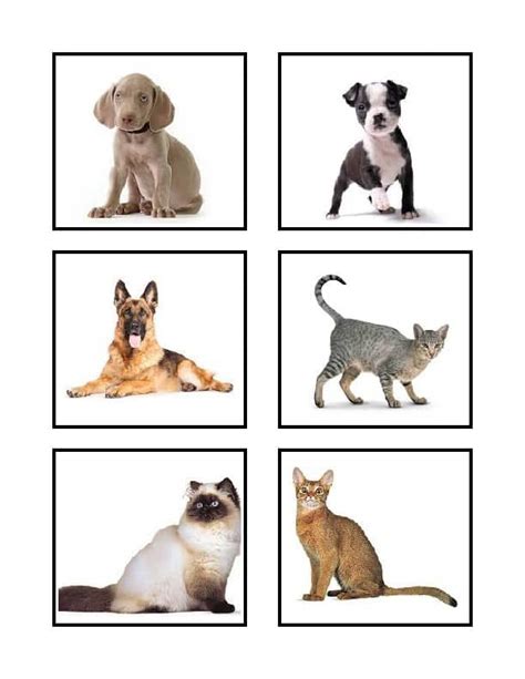 Non Identical Matching By Bright Behavior Co Tpt