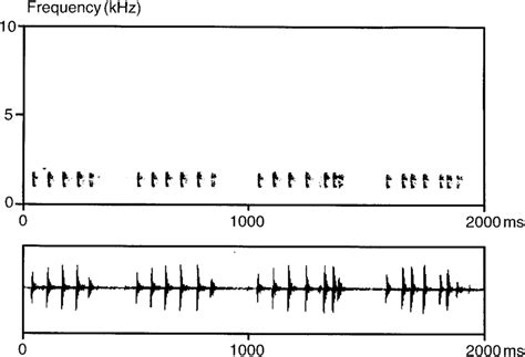 Sonogram And Oscillogram Of A Call Series Of Four Notes With ® Ve To