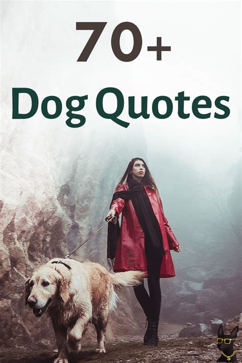 100 Of The Best Dog Quotes Artofit