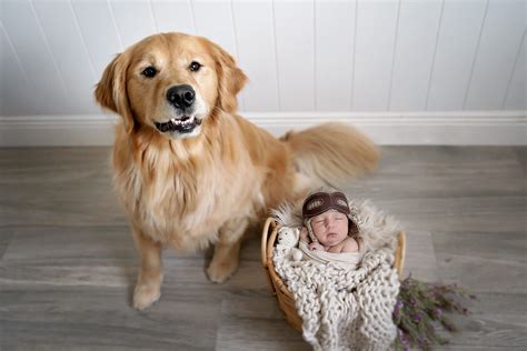 Coral Springs Olivia Grace Defalco Design