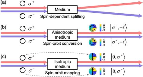 Figure 1 From Spin Orbit Mapping Of Light Semantic Scholar