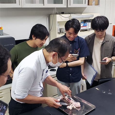 神戸大学 大学院医学研究科医療創成工学専攻 医学部医療創成工学科