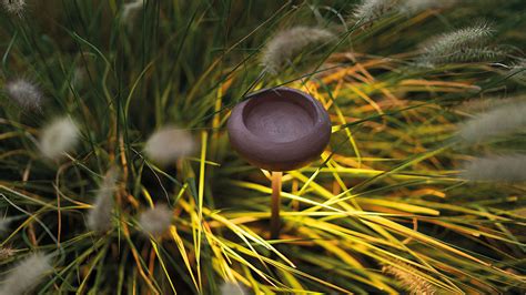 9010 Oolite Indesign Decorations