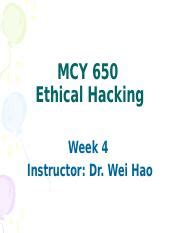 Understanding Sniffing in Ethical Hacking: Protocols, | Course Hero