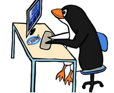 Best Flask Courses And Certificates 2025 Coursera Learn Online