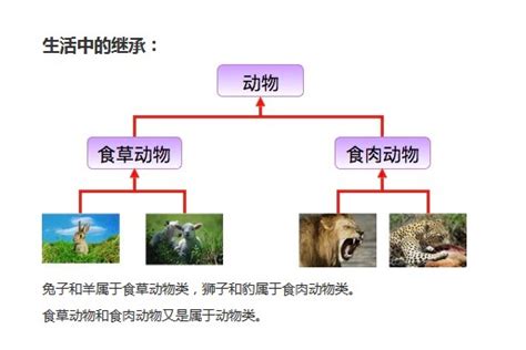 Oop Object Oriented Inheritance Super This Abstract Class