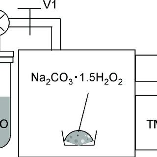 Experimental Setup For Measuring The Release Of H2O2 Molecules From S Download Scientific
