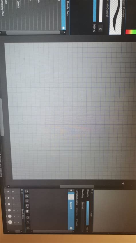 Does Anyone Know How To Remove This Grid Thing Rmedibangpaint