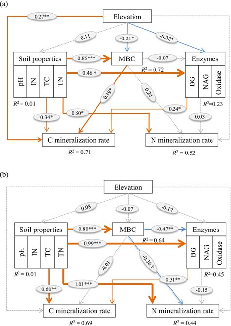 Structural Equation Model Sem Showing The Multivariate Effects Of