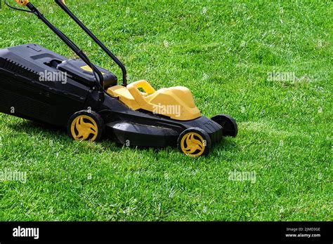 Electric Grass Types At Jake Woolley Blog