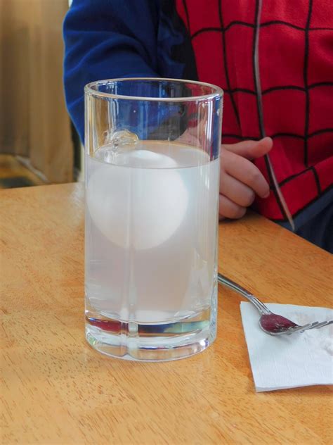Days Of Science Floating Eggs