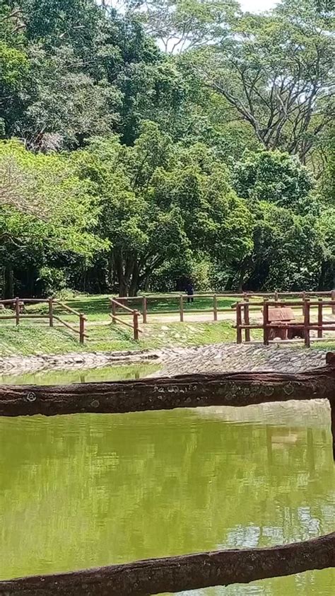 Budak Yang Berani Di Dunia Rbolehland