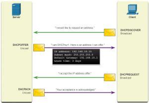 CCNA V Curriculum Module LAN Security Concepts
