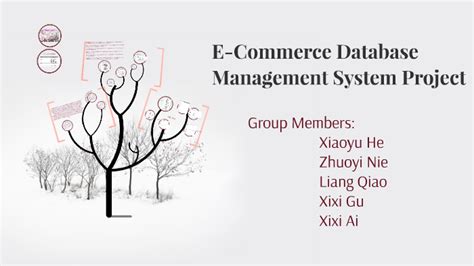 E Commerce Database Management System Project By Xixi Ai On Prezi