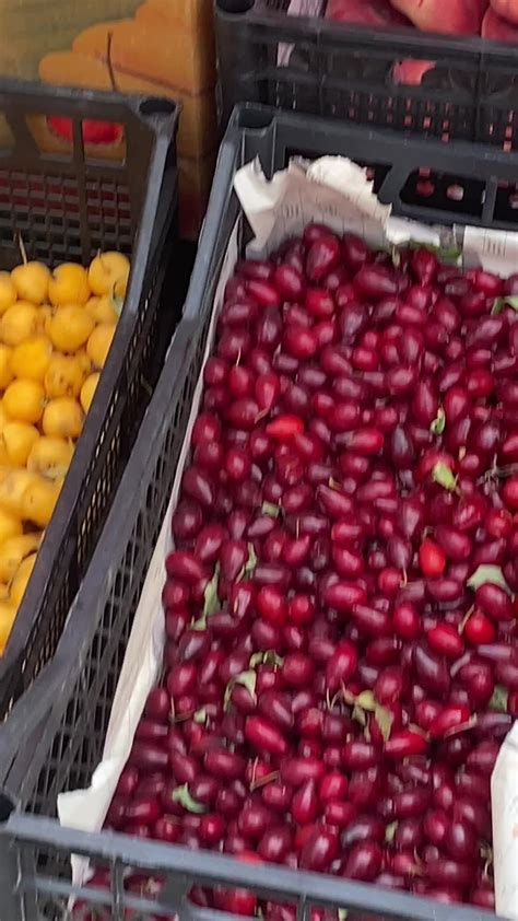 ხეირი ნახე Home